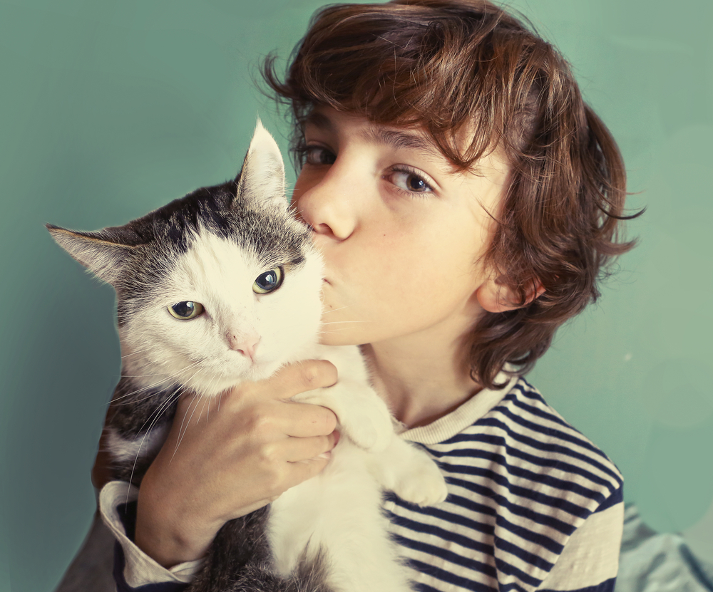 60 Names for Rescued Male Cats - The Naming Nook