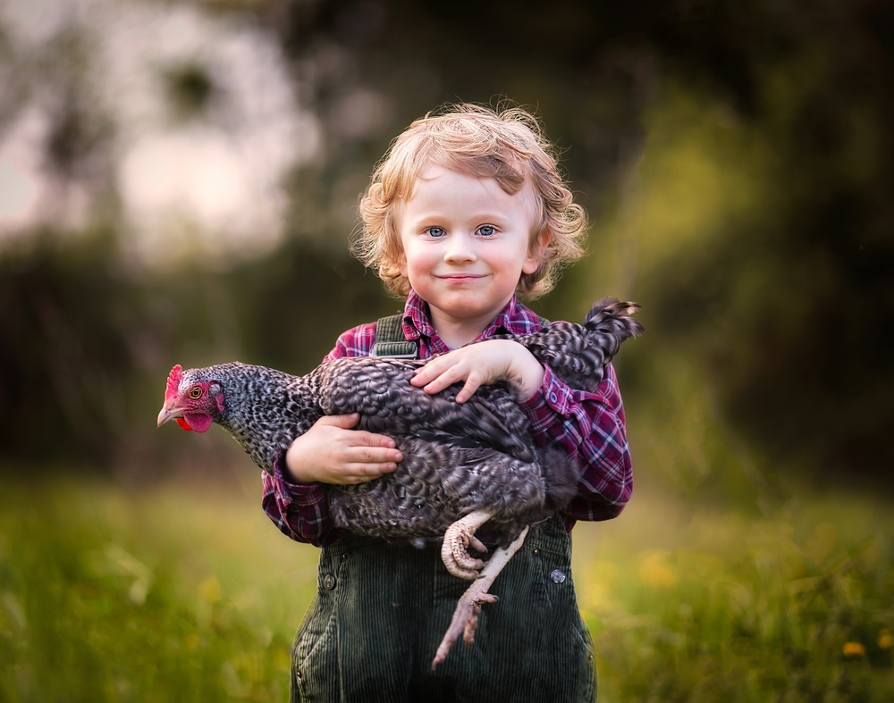 80 Cool and Unusual Names for Chickens - The Naming Nook