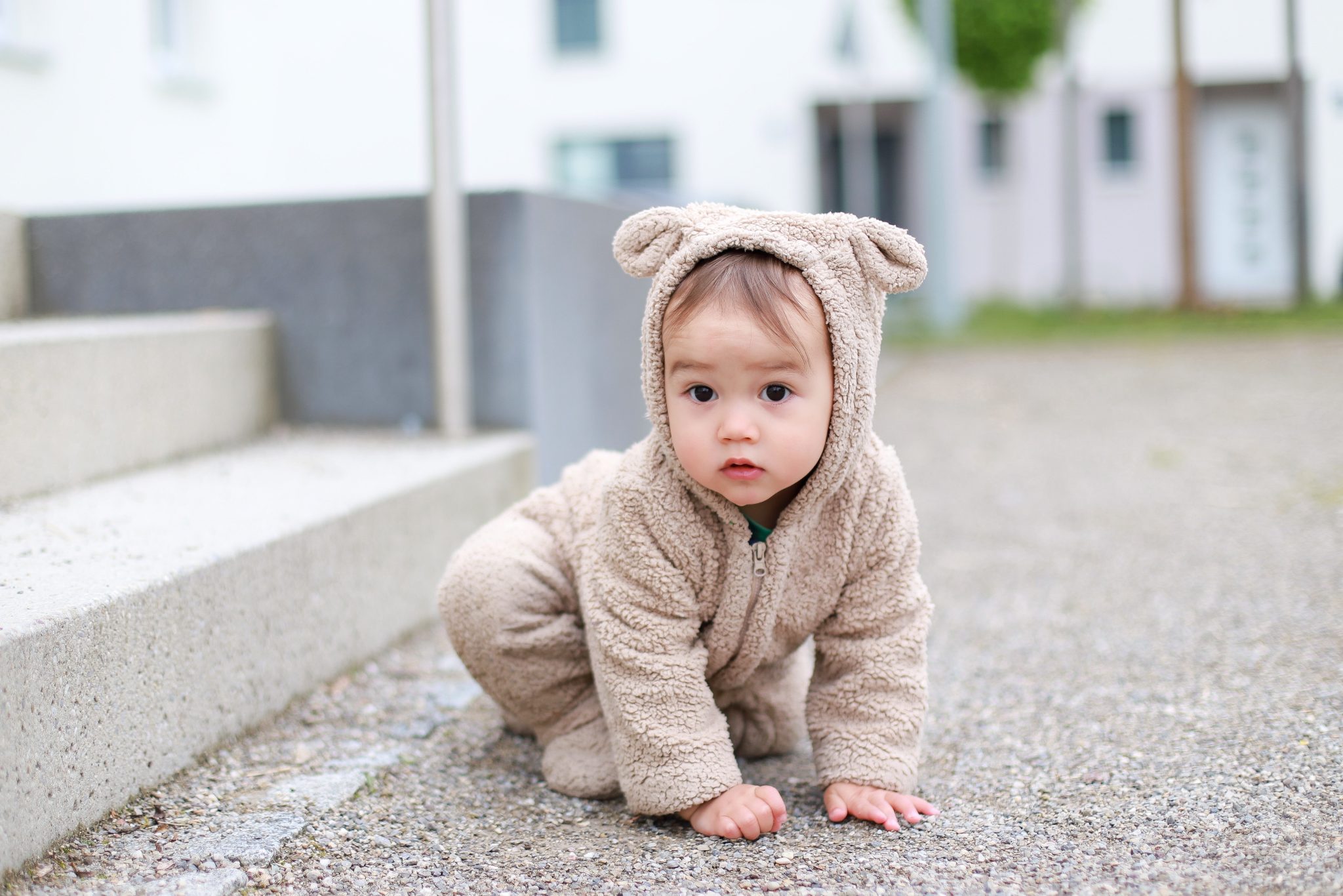 50 Animal Inspired Boys Names - The Naming Nook