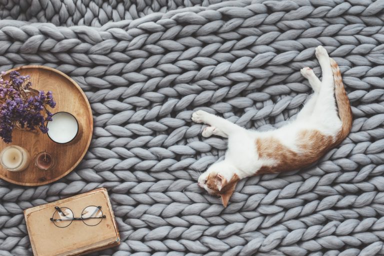 60 Cottagecore Cats Names - The Naming Nook