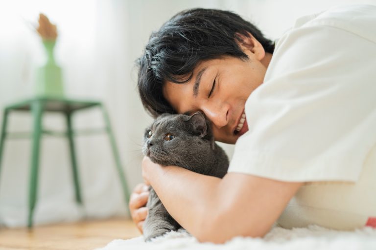 70 Beautiful Desi Cat Names and their meanings - The Naming Nook