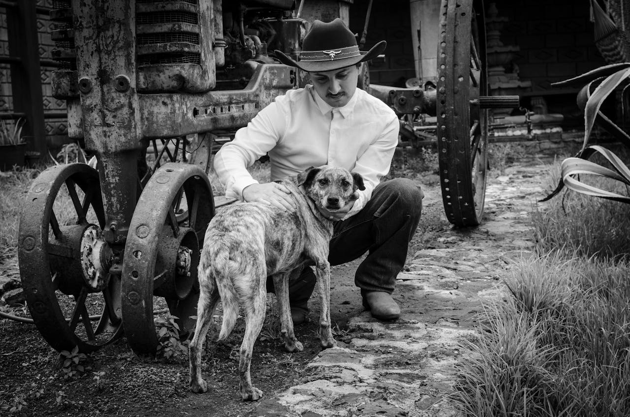 60 Country-Inspired Dogs Names for Global Appeal - The Naming Nook