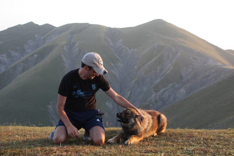 40 Mountain and River Names for Dogs - The Naming Nook