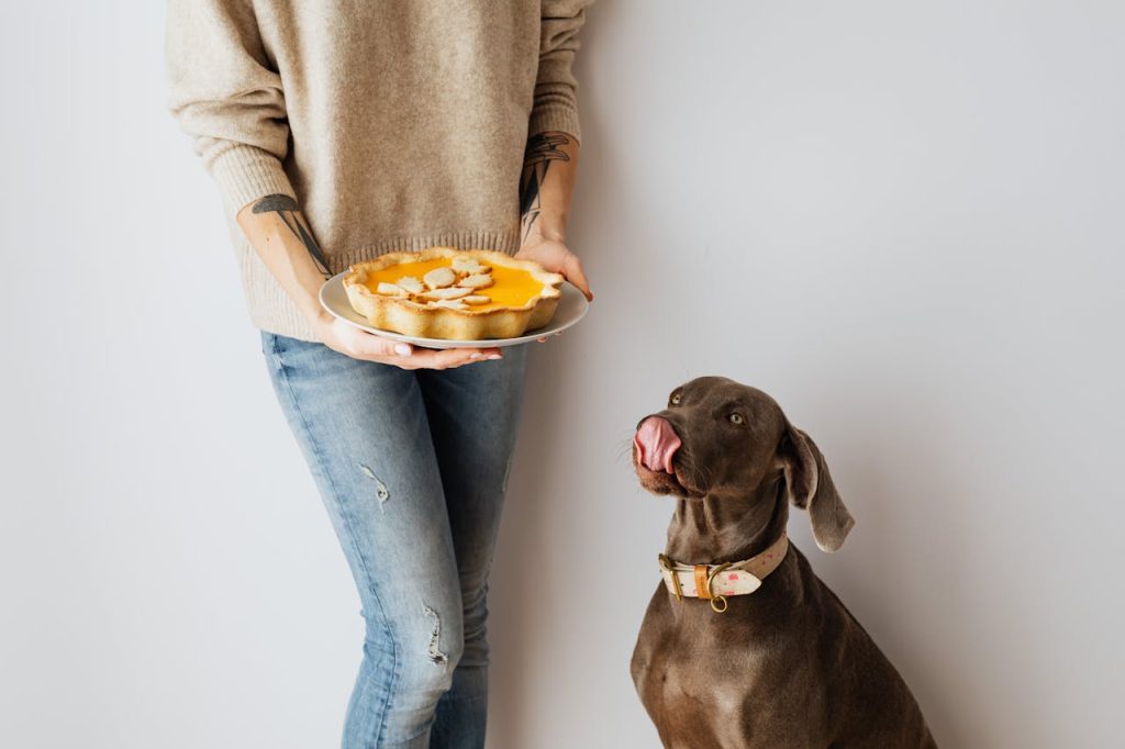 Top 60 Sweet Treat Dog Names - The Naming Nook